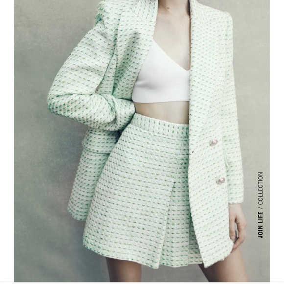 Zara | Skirts | Zara Pleated Structured Skirt | Poshmark